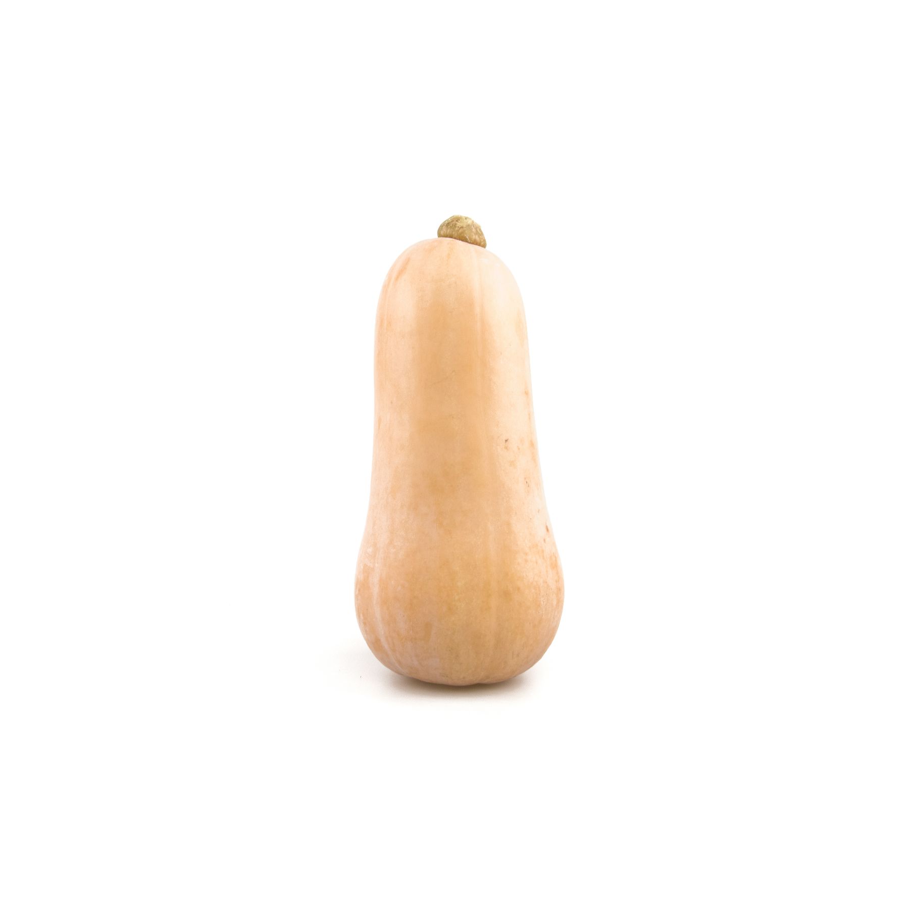 Pompoen fles per stuk - Thuisfruit