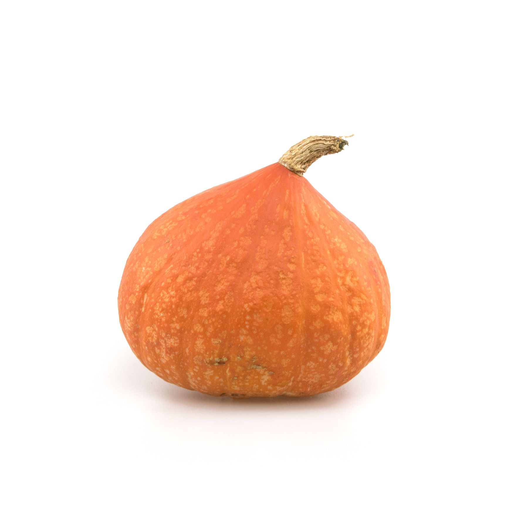 Pompoen hokkaido per stuk - Thuisfruit